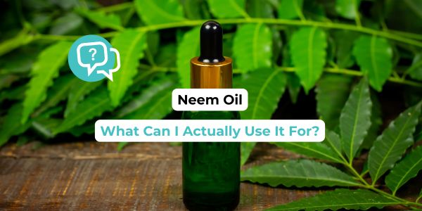What Is Neem Oil Good For? Everyday Uses in the Garden, Skincare And C