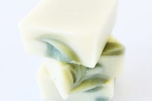 New Arrivals at Biome - October 4, 2016