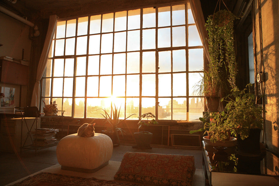 5 Ways to Create Calm in Your Home