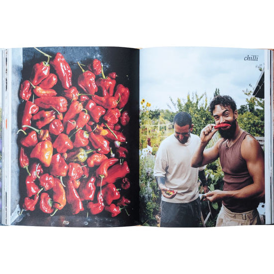 Buy Plant to Plate Online