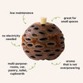 Buy Banksia Aroma Pod Diffuser Online