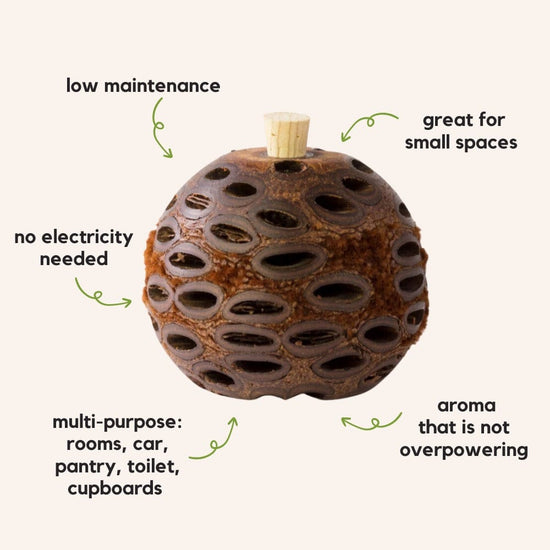 Buy Banksia Aroma Pod Diffuser Online