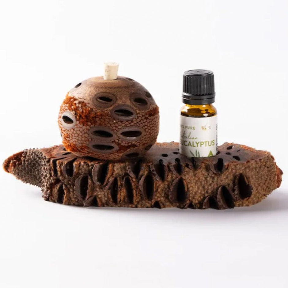 Buy Banksia Aroma Pod Mini Gift Pack - Eucalyptus Online