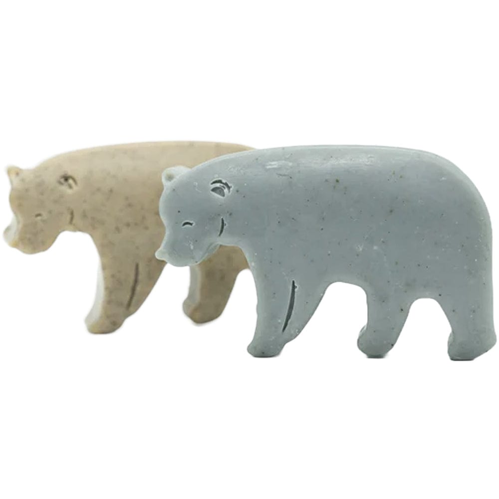 Meet Our Biome Brand Ambassadors: Ash