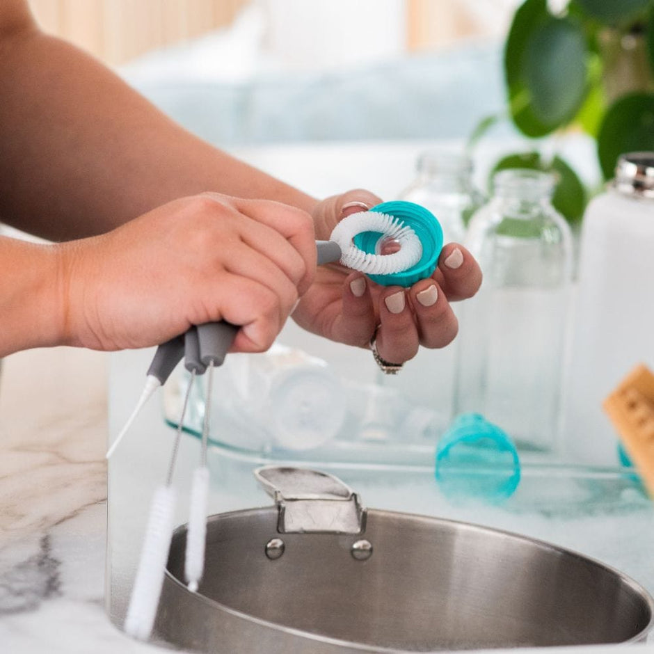 6 Things to Know About Using Clove Oil for Mould Removal – Biome