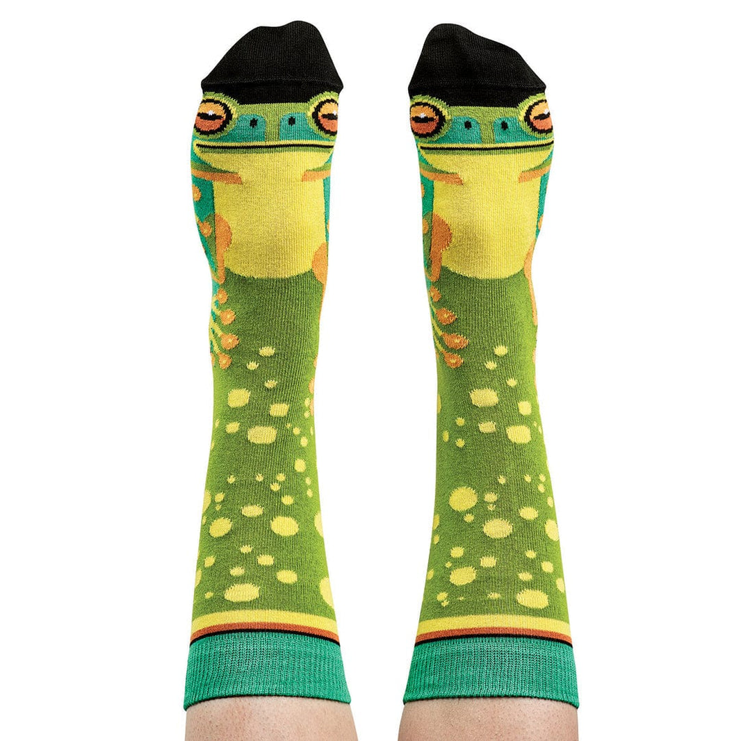 Buy Wilson Payne Red Tailed Cockatoo Socks Online