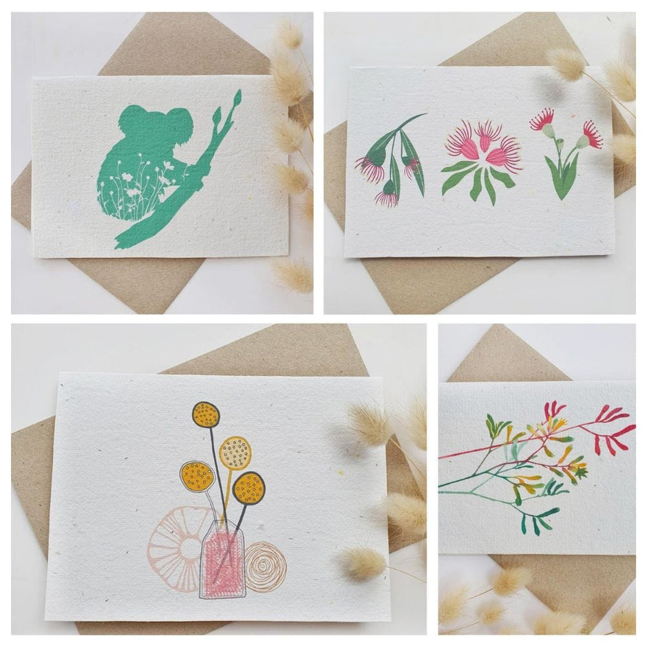 Native Seed Box - Plantable Seed Cards & Seed Bombs