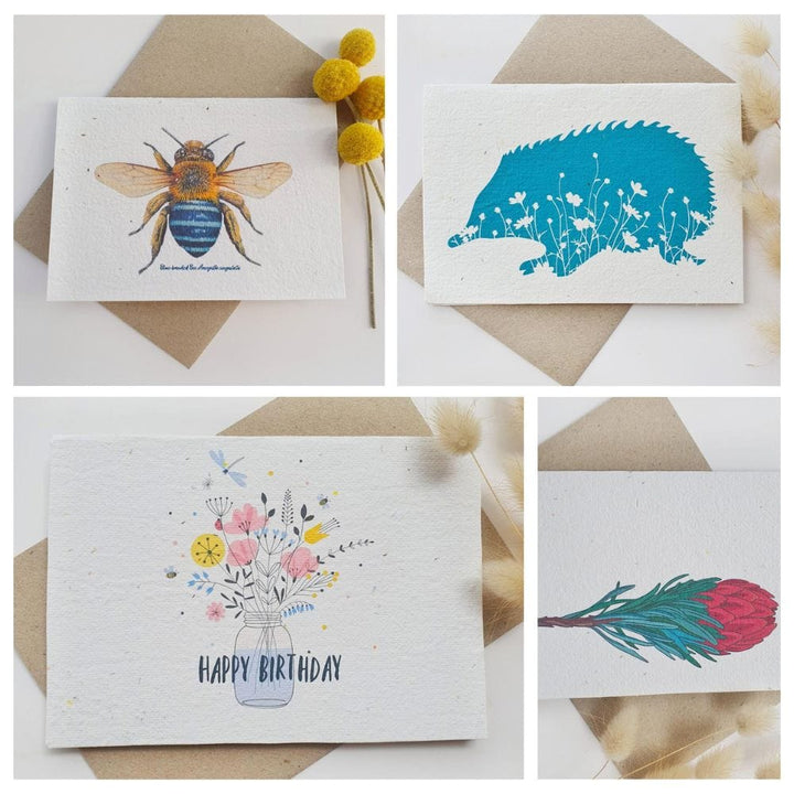 Native Seed Box - Plantable Seed Cards & Seed Bombs