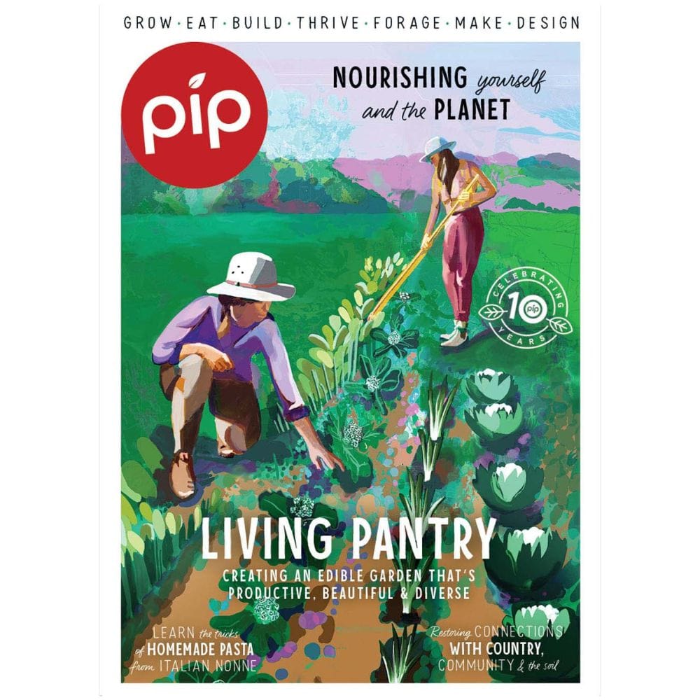Eco-friendly environmental magazines