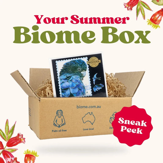 Biome Boxes
