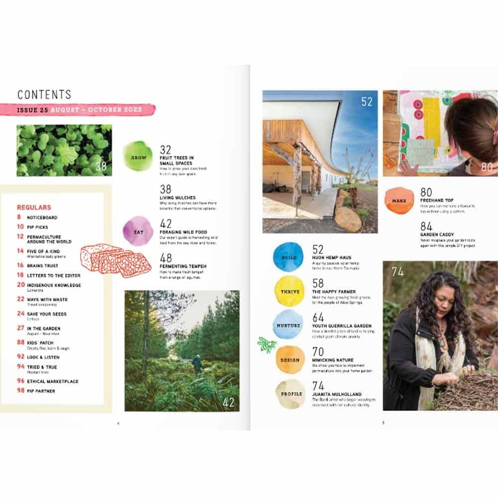 Eco Magazine – Biome