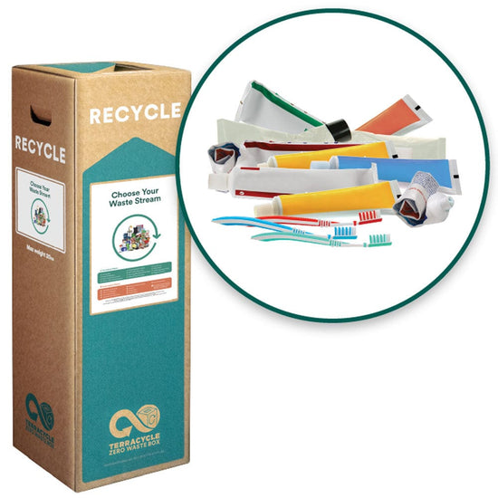 Buy TerraCycle Zero Waste Recycle Bin - Oral Care Waste and Packaging ...