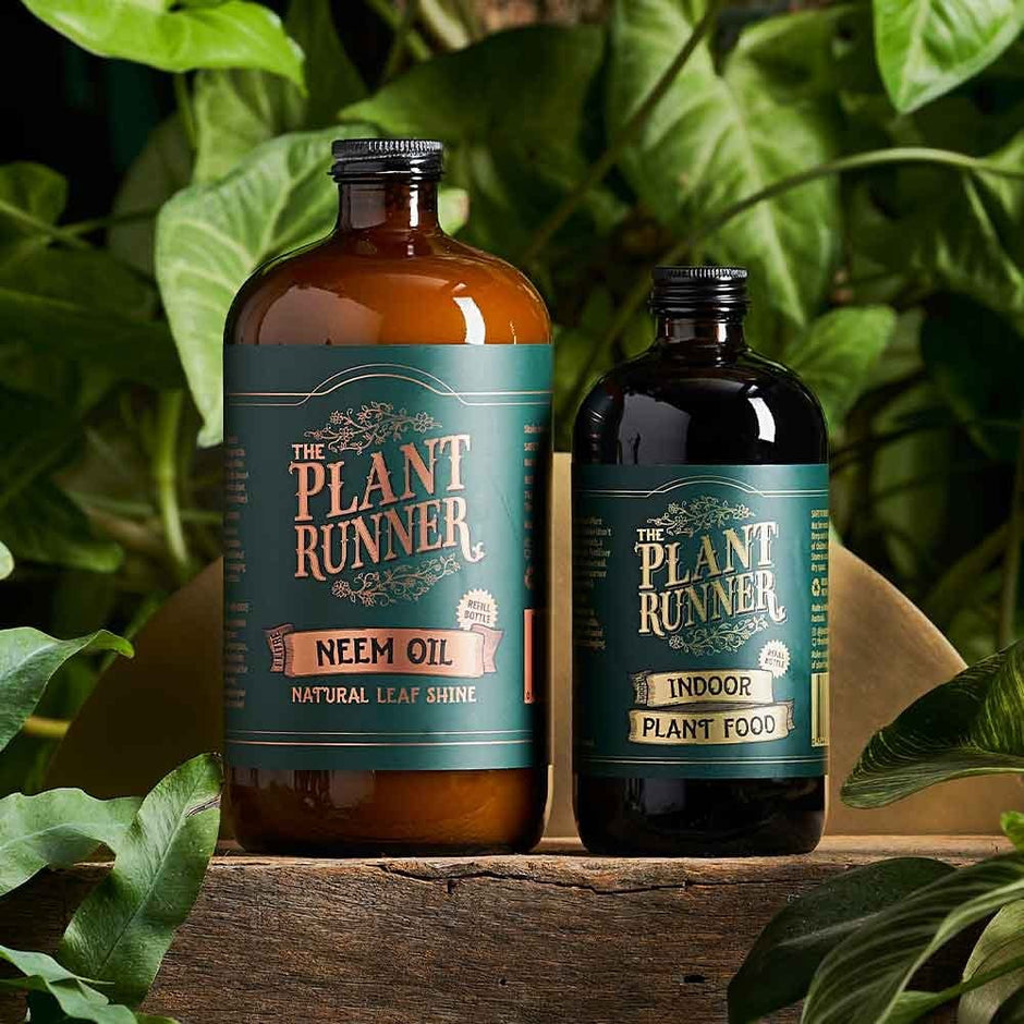 The Plant Runner