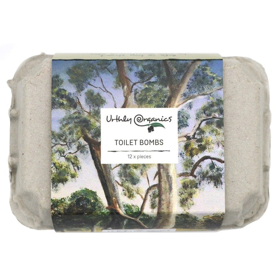 Buy Wooden Toilet Brush Online